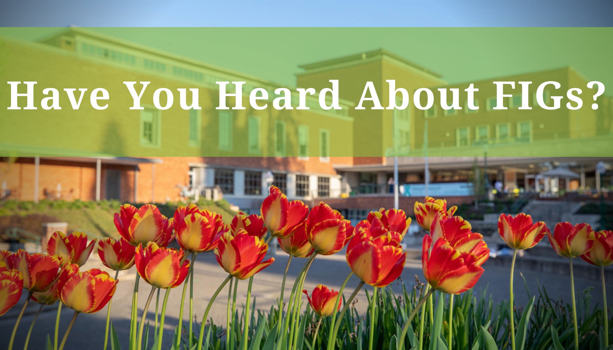 Learn About FIGs for Fall 2020! | First-Year Programs