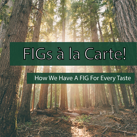 FIGs a la Carte! How We Have a FIG for Every Taste | UO First-Year Programs